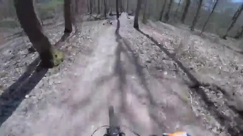 Mountain Bikers Speed down Trail and Jump off Ramps