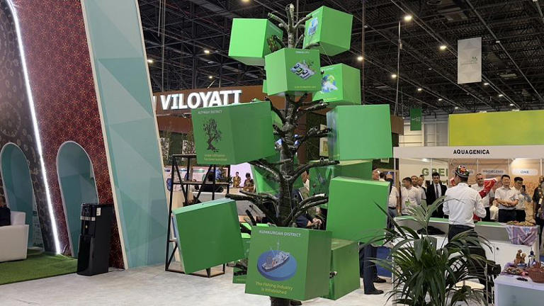 More trees, more tools: Uzbekistan steps up on Aral Sea recovery and ...