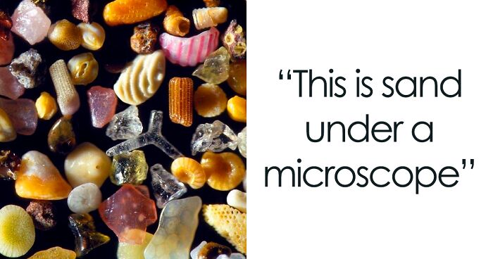 26 Random Facts That Sound Super Weird But Are Totally True, As Shared ...