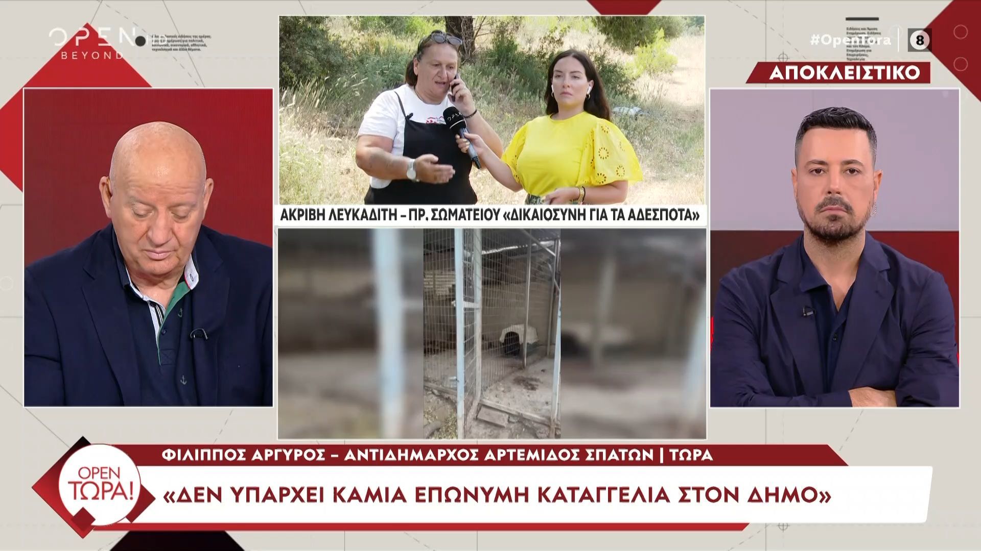 Φ. Αργυρός | Αντιδ. Αρτέμιδος Σπάτων: «Δεν υπάρχει καμία επώνυμη ...