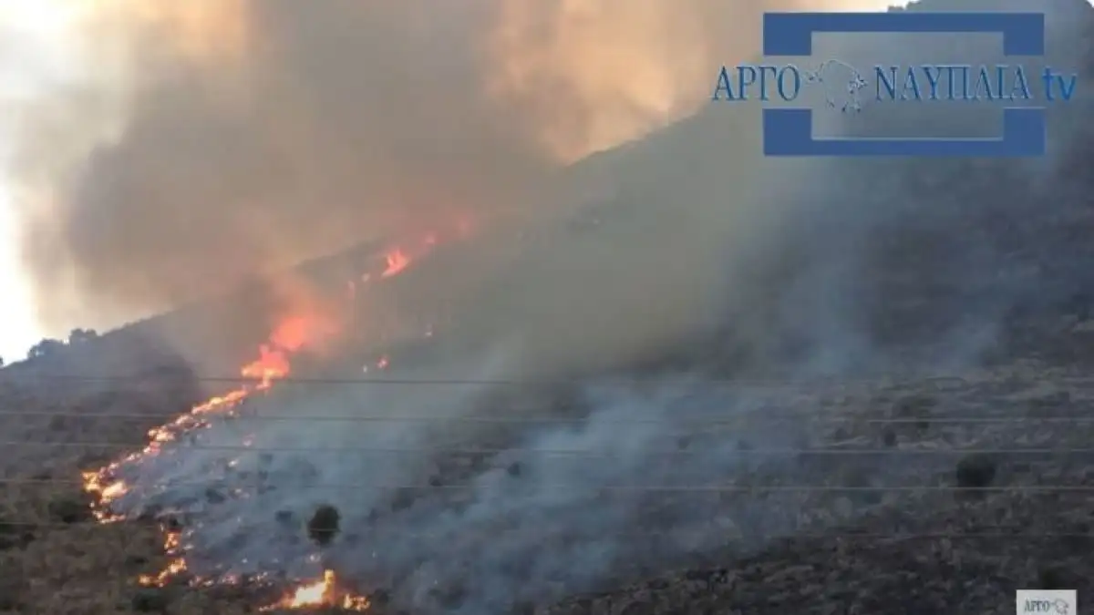 Πύρινος συναγερμός στην Αργολίδα με 60 πυροσβέστες, δύο ελικόπτερα και ...