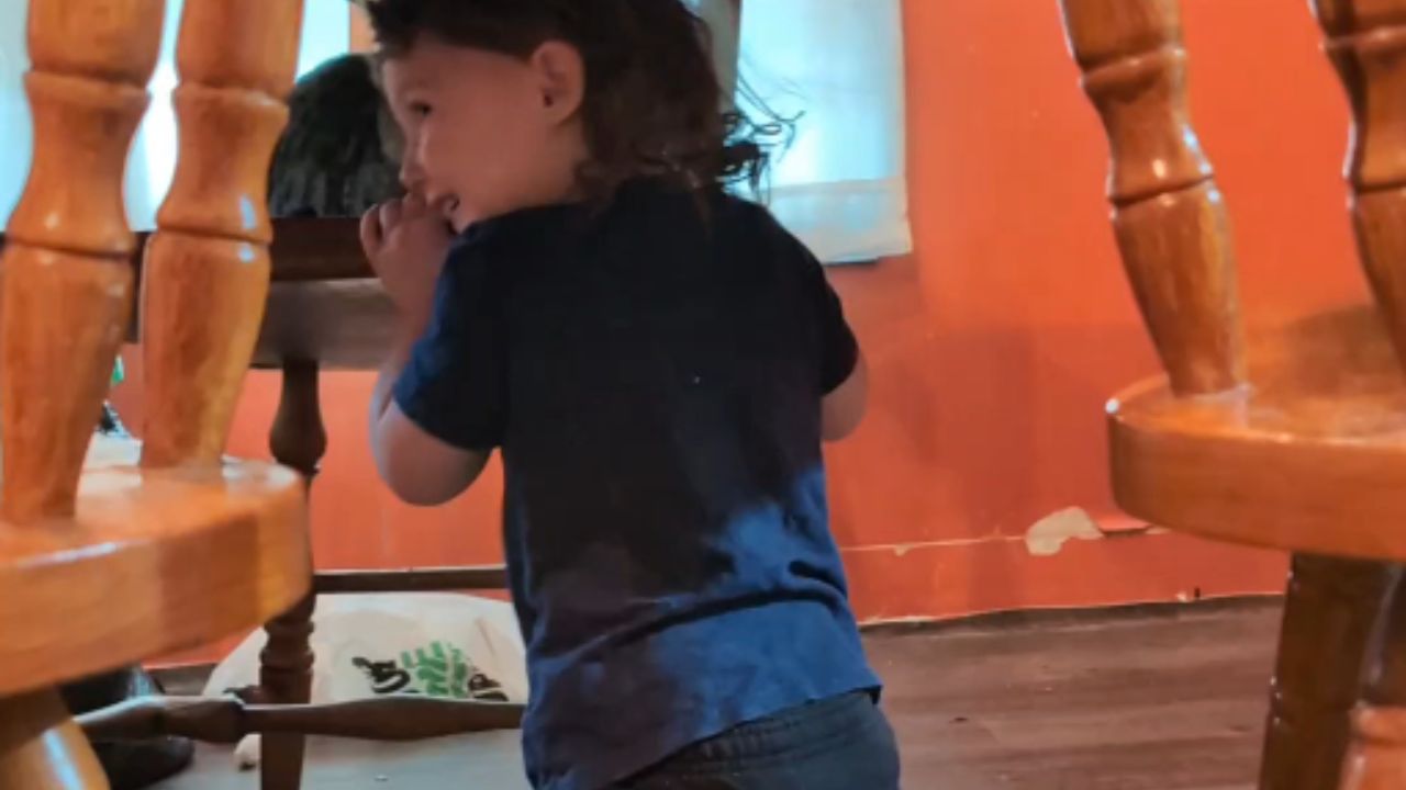 Little boy kisses his cat and shows what true friendship looks like