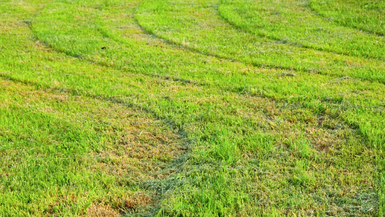 11 Mistakes That Make Even a Good Mower Cut Badly