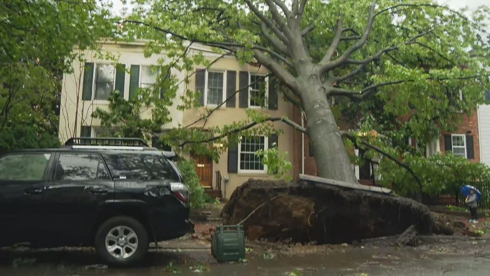 Clean up underway after strong storms clear DC region, leaving damage ...