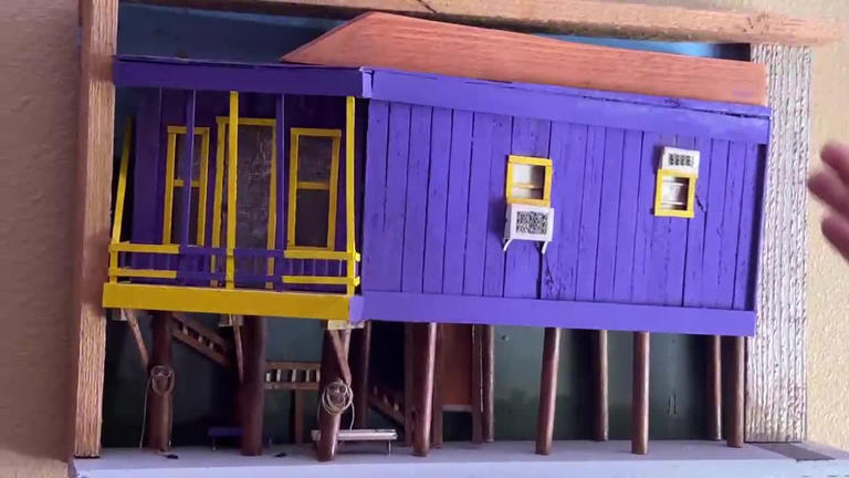 Check out this LSU superfan’s home draped in purple and gold