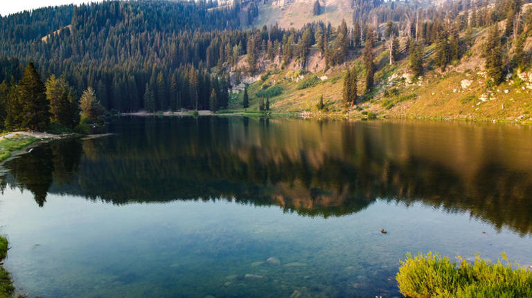 Nestled In Utah's Logan Canyon Is A Wildly Colorful Lake Brimming With ...