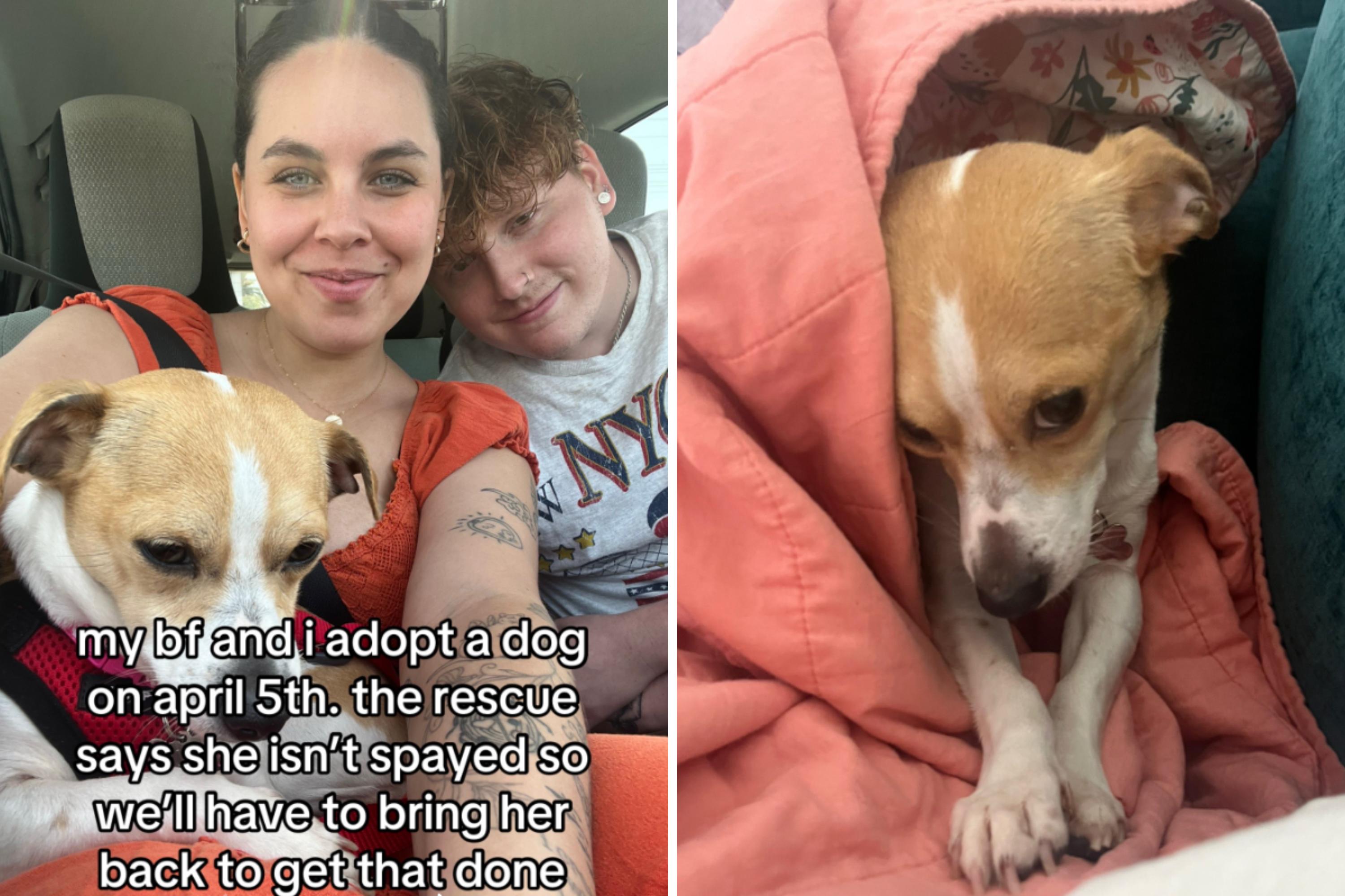 Couple adopt dog—have no idea she's hiding a surprise