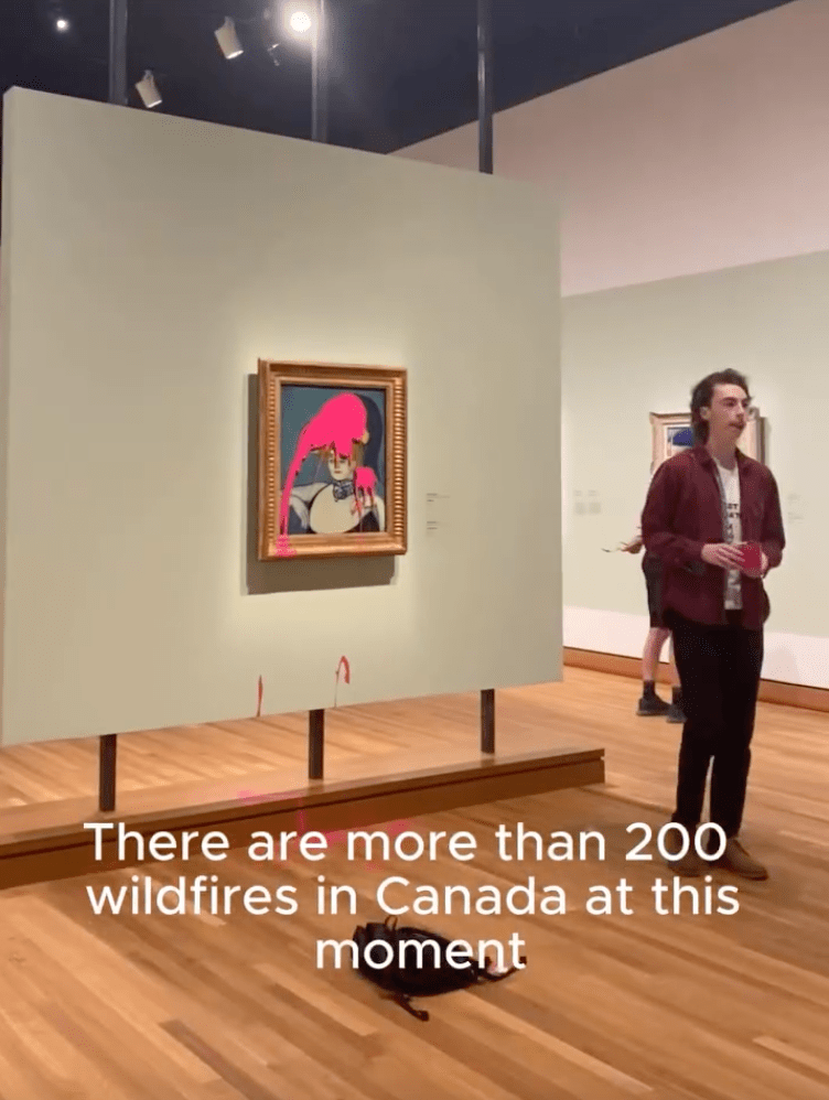 Climate Activist Hurls Pink Paint at Picasso Painting at Montreal Museum