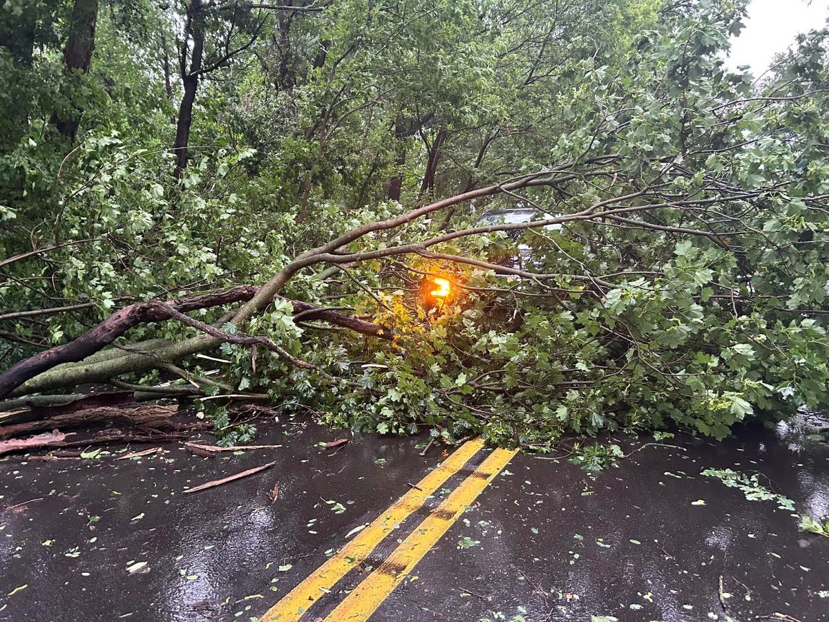 Storm Rips Through Bucks Co. Leaving Fallen Trees, Power Outages