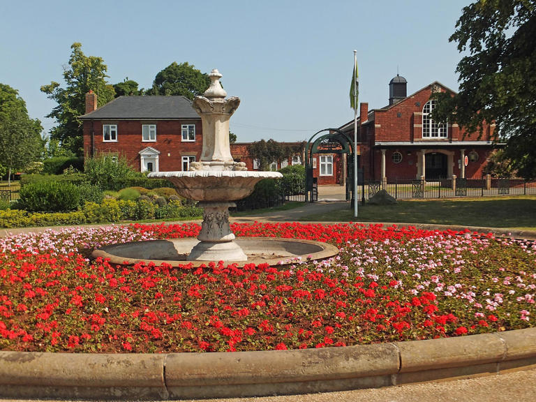Beautiful floral display transforms ornate fountain - which had been ...