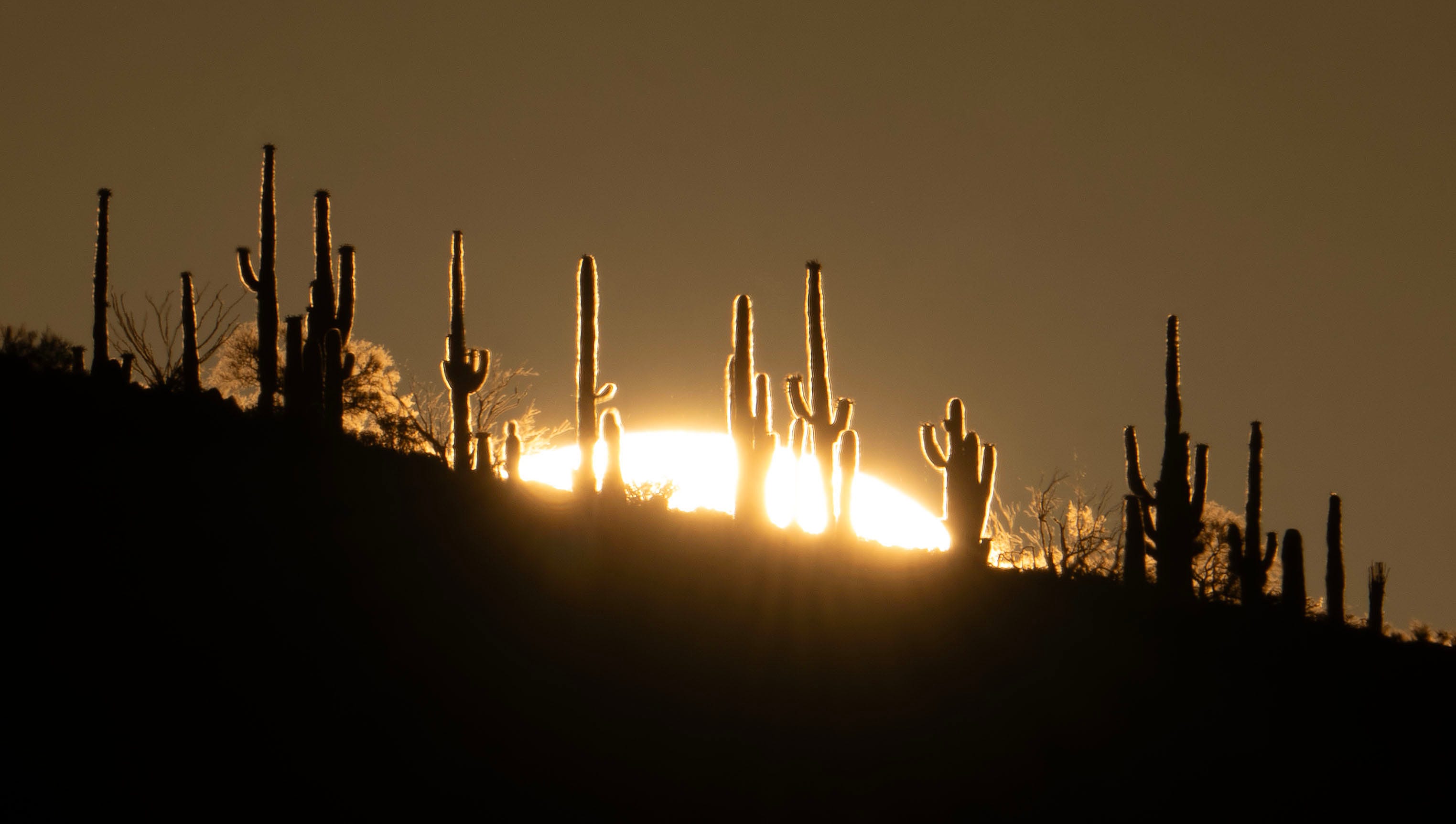 Summer solstice 2025: Why it's the longest day of the year and how to ...