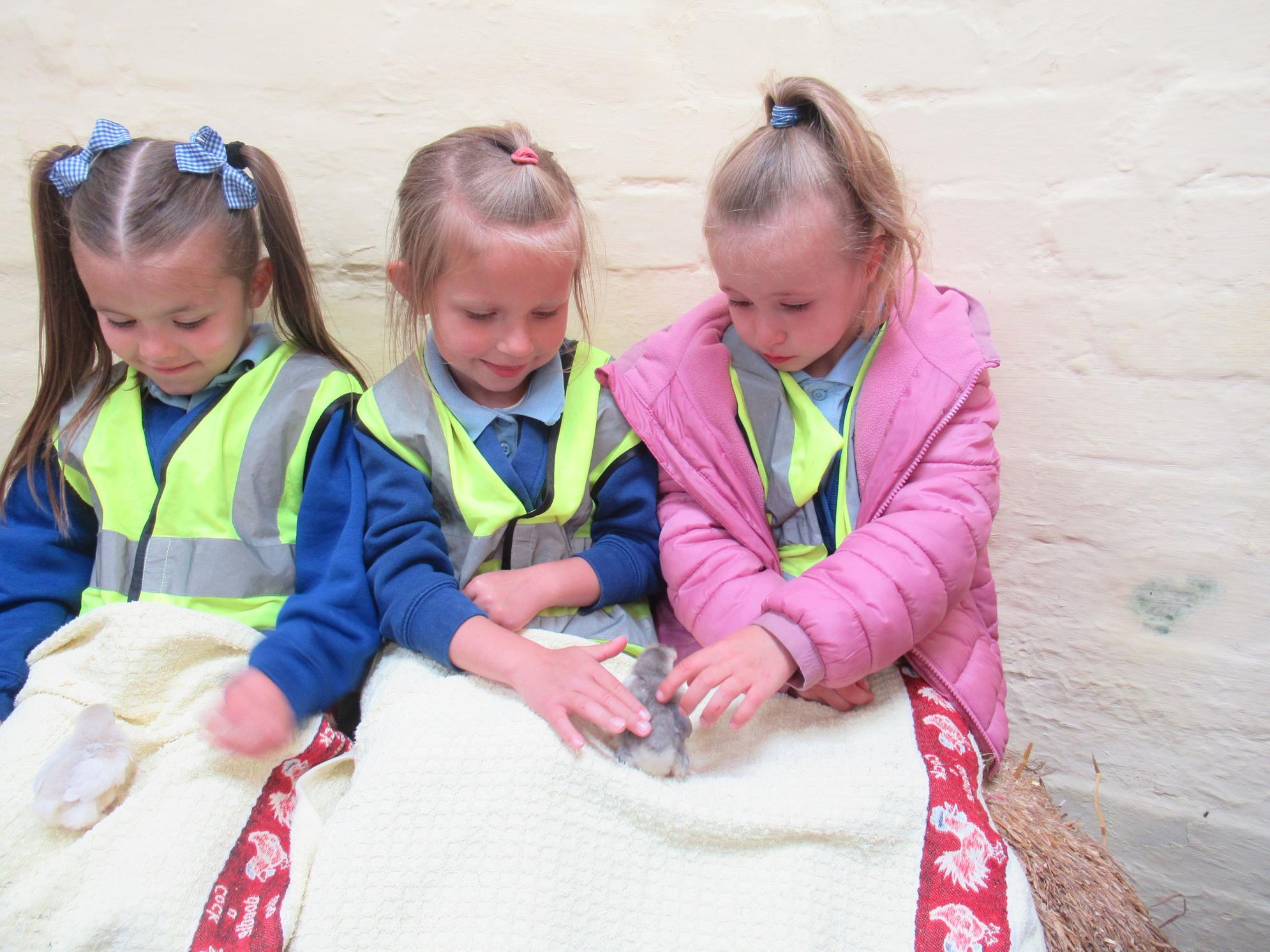 All the fun at the Hall Hill Farm for Walker pupils