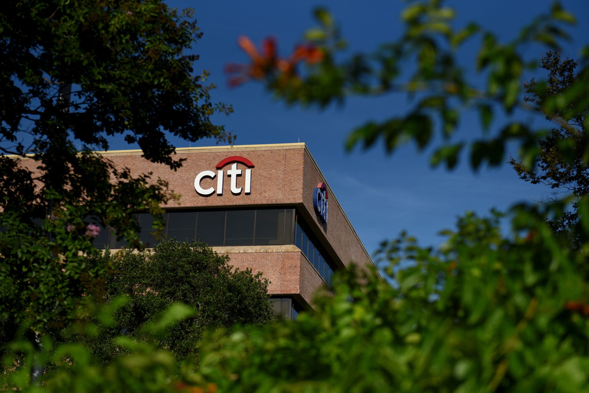 Citigroup Hires JPMorgan Tech Veteran Rajkovic as M&A Co-Head