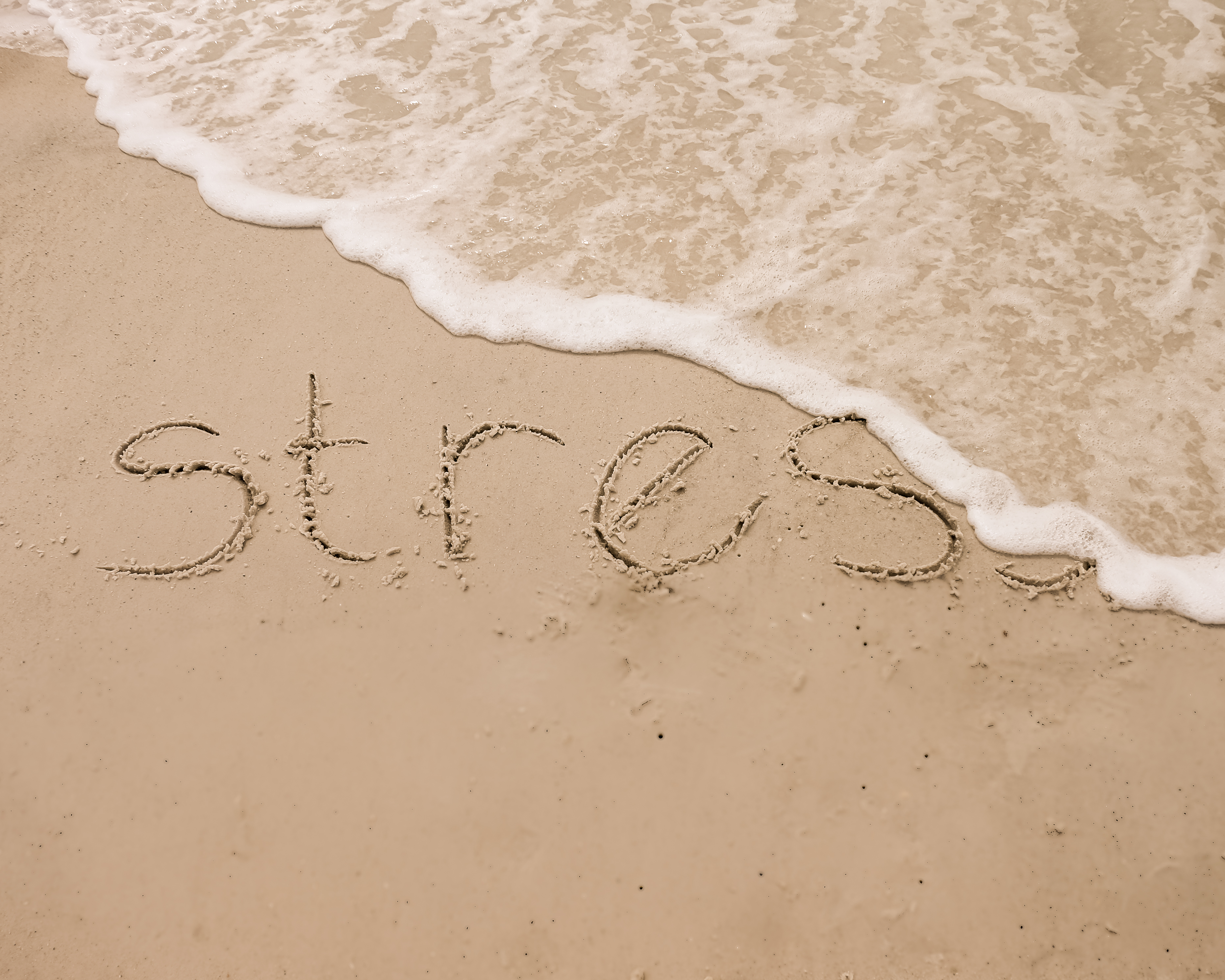 15 Uncharted Trails to Zen: The Art of Mindfulness Unleashing A Sea of Calm