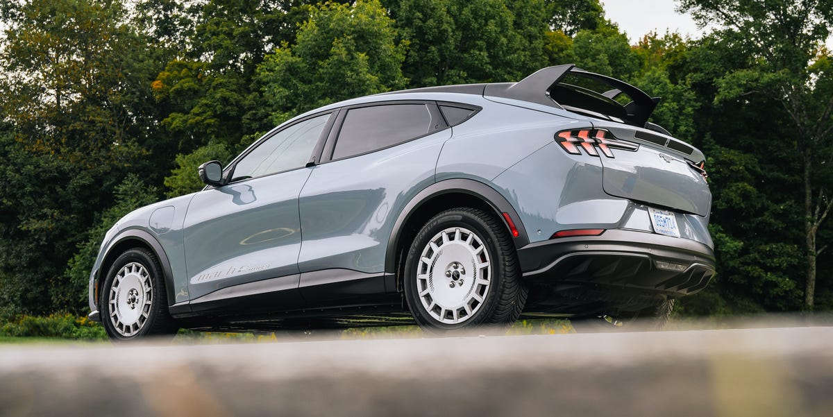 Ford Mustang Mach-E Stop-Sale, Recall Issued Because Kids or Pets Can ...