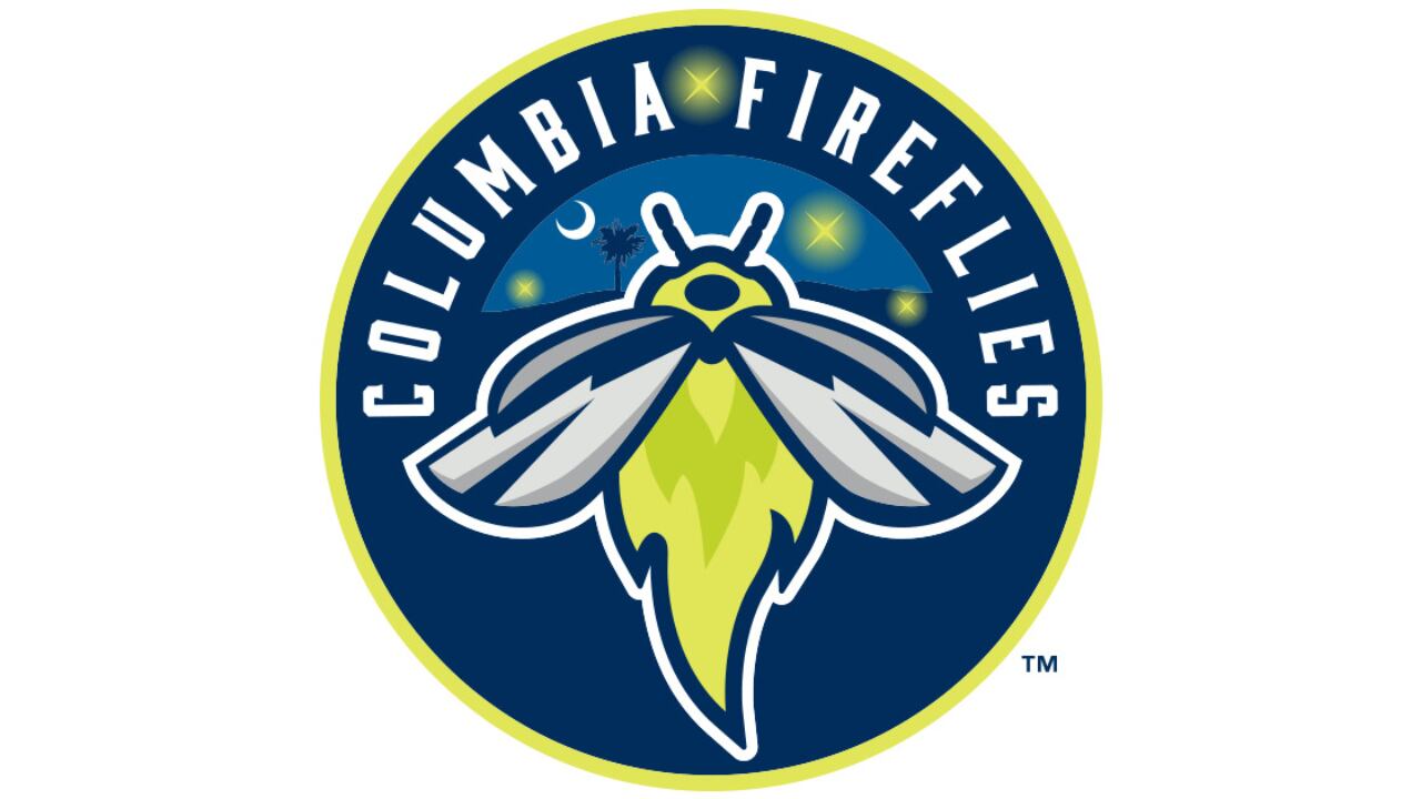 Columbia Fireflies host annual job fair