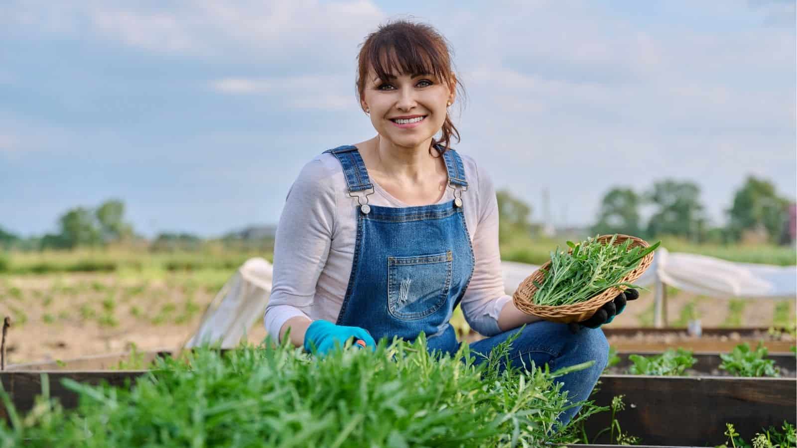 Enjoy Fresh Greens Year-Round with These 11 Easy Crops
