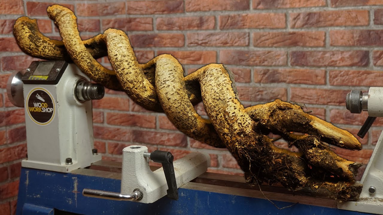 Unexpected twisted root creation is absolutely beautiful