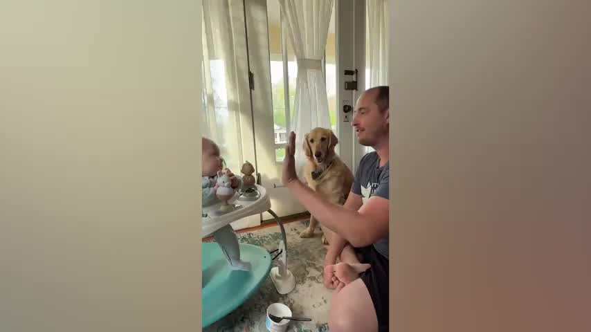 Dad Trying to Teach Baby High Five Has an Unexpected Student