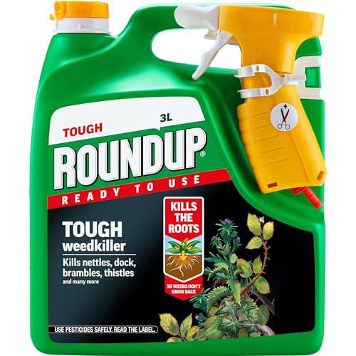 5 easy steps to kill ivy roots and stop it coming back, according to ...