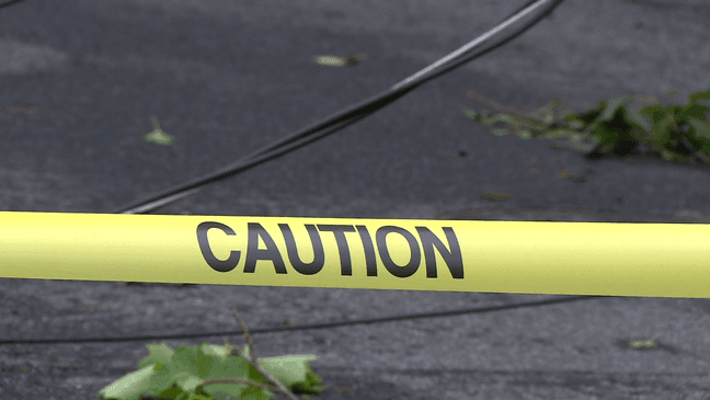 Tree topples during storm after NW DC residents say they previously had ...