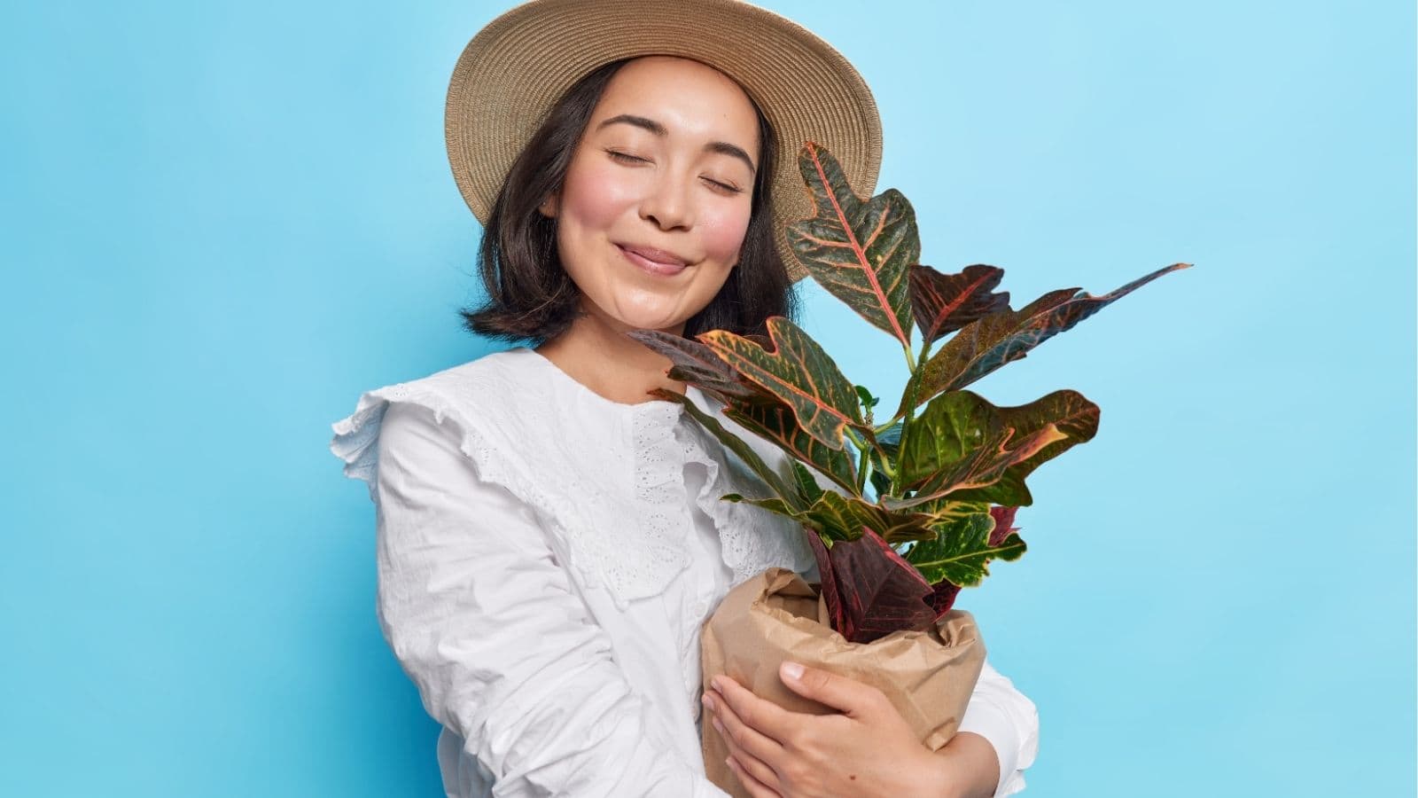 Brighten Up Shady Spots with These 13 Beautiful Shade-Loving Plants