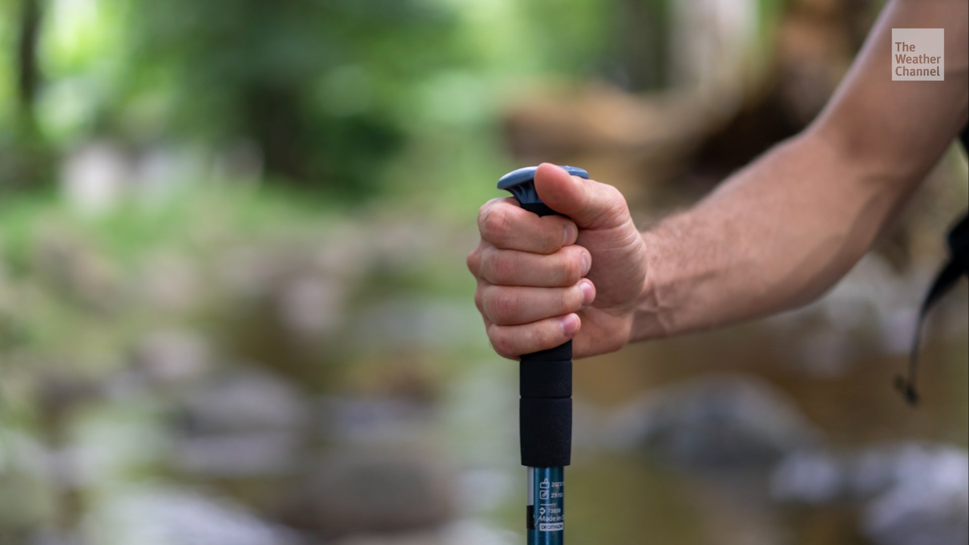 Stick With It: Why Walking Sticks Are A Trail's Best Friend