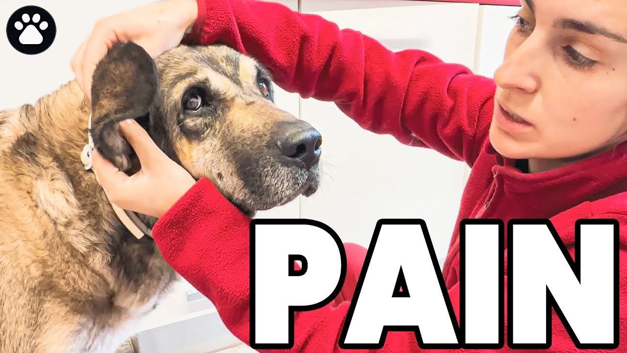 There’s something in Jasmine’s ear