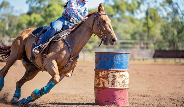 How to Get Your Child Started in Rodeo