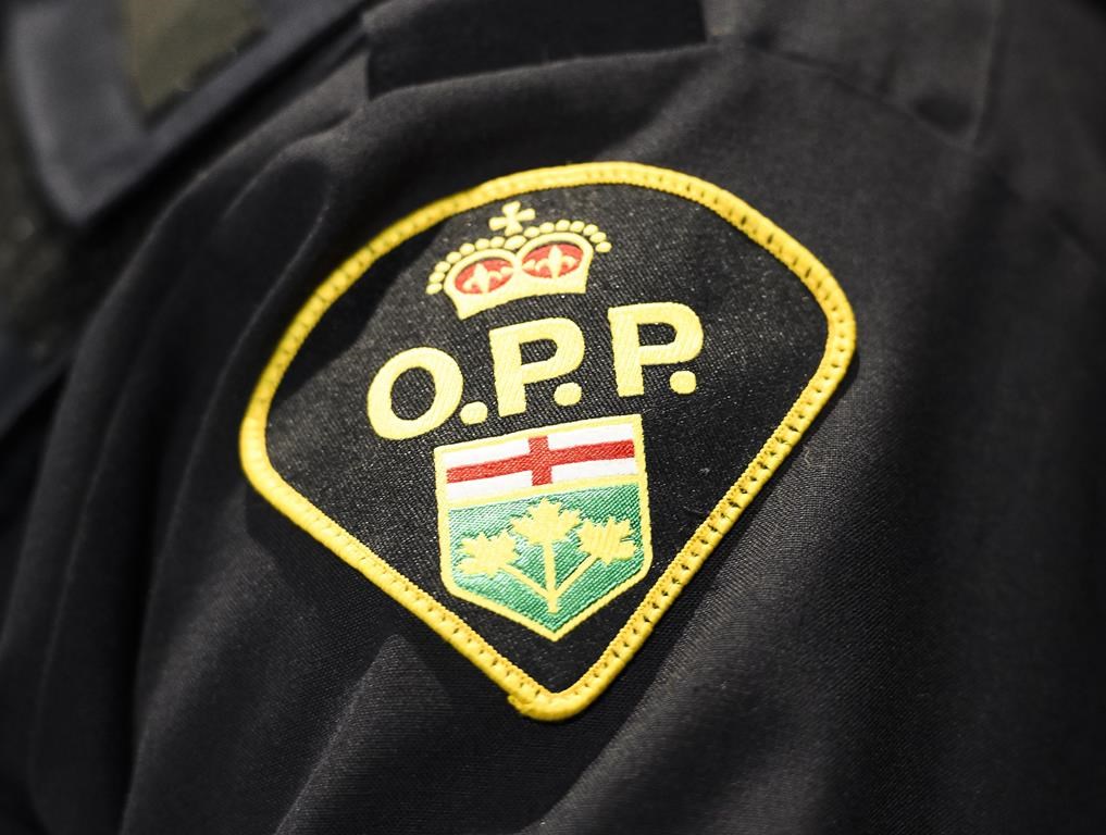 Police fatally shoot dog during incident in Ontario city