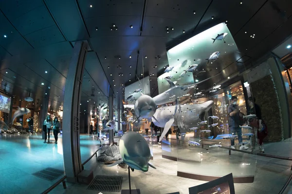 15 Art Studios Where You Can Watch Masters Work