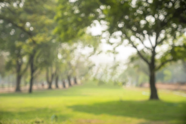 Questions Surround Death Of Black Man Found Hanging In Tree