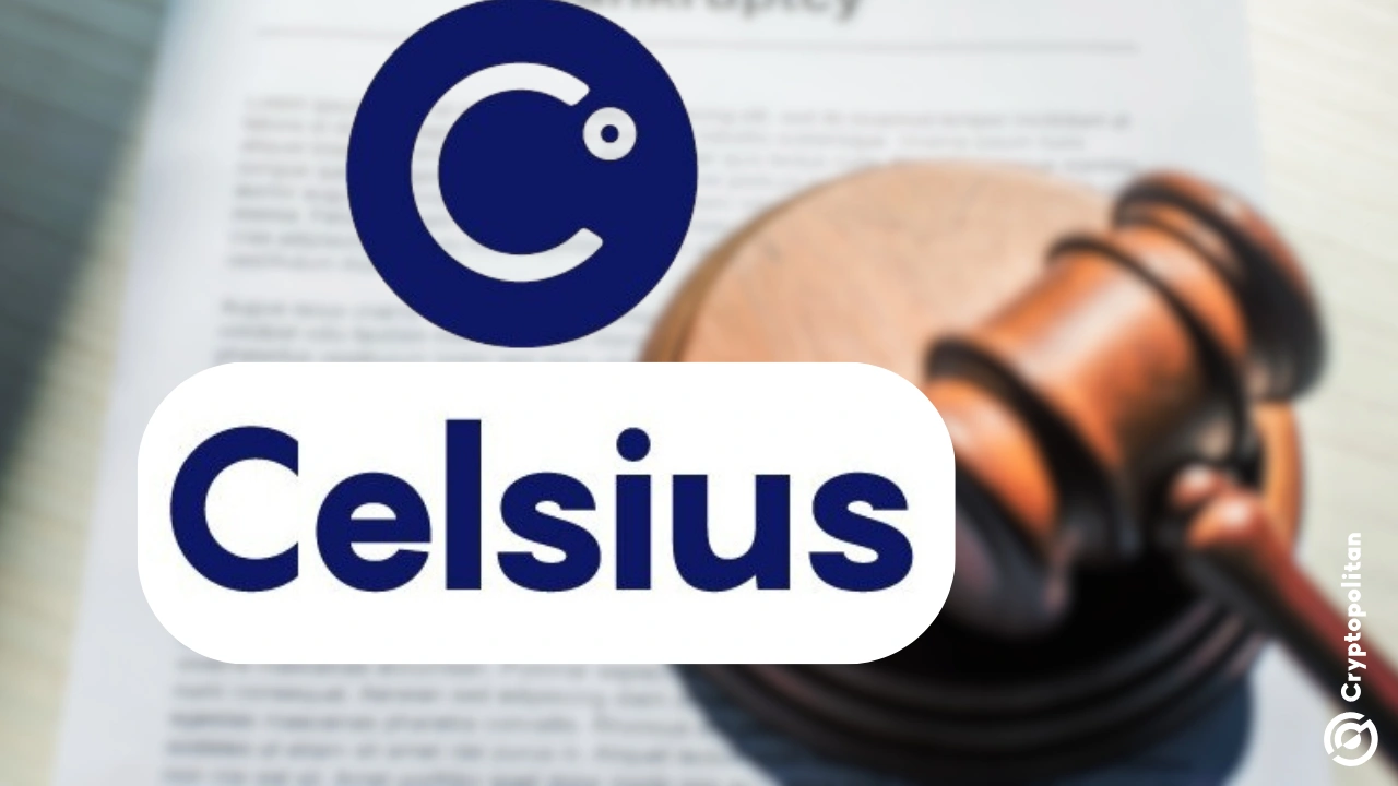Former Celsius CEO Alex Mashinsky waive rights to bankruptcy ...