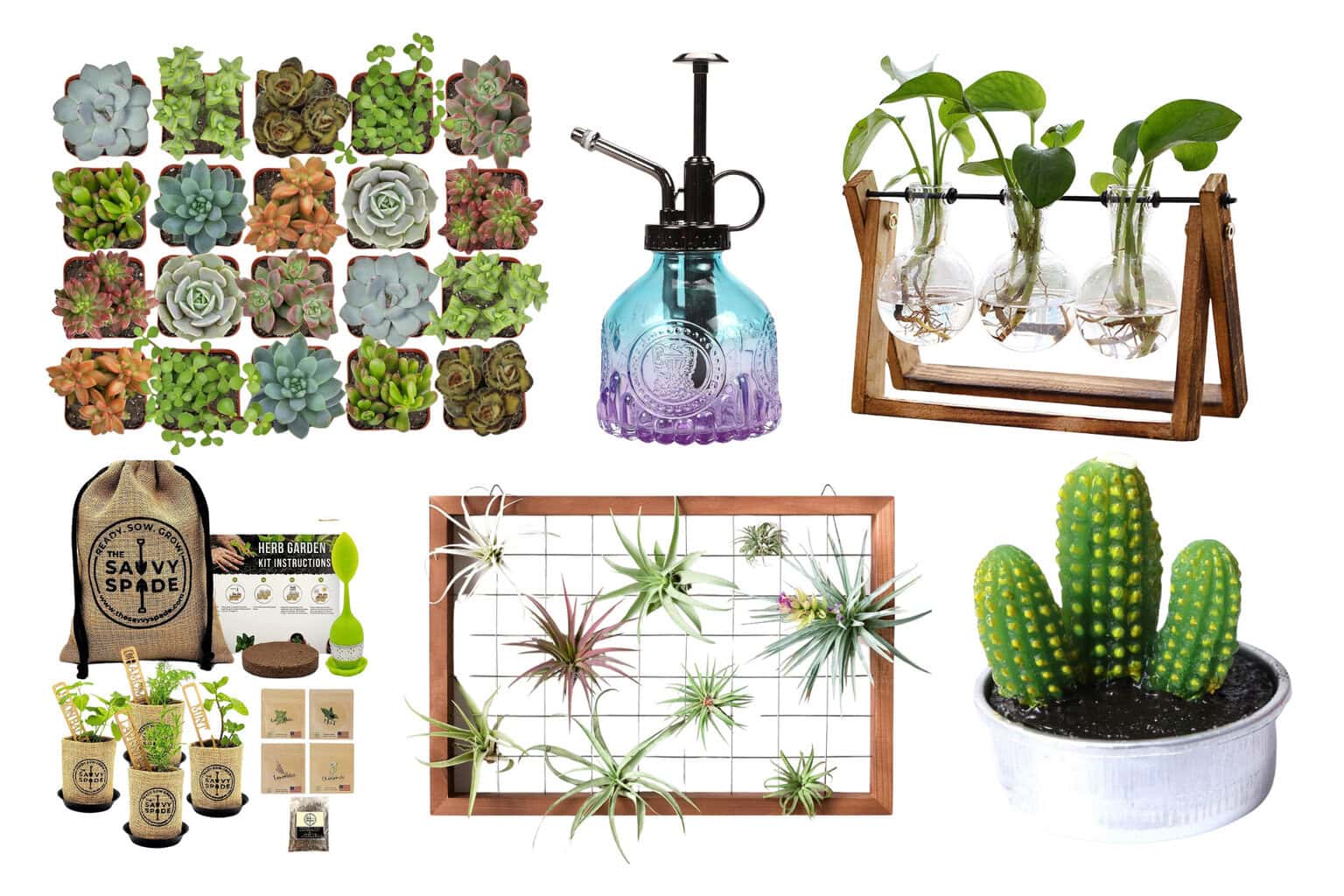 Gifts For Plant Lovers: Perfect Presents For Every Plant Parent