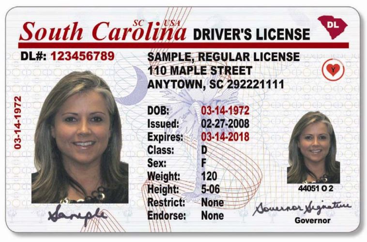 SCDMV will begin mailing driver’s licenses and ID cards this fall: What ...