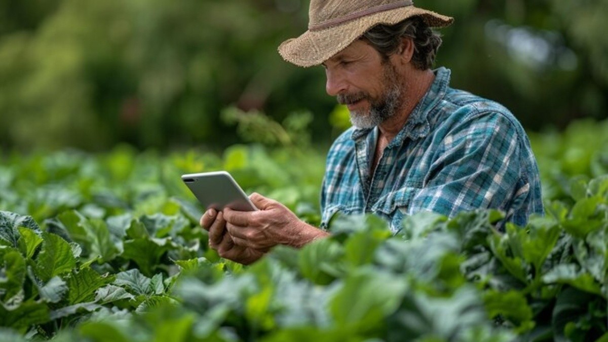 Trump Admin. hits rural areas with BEAD: Thousands could be disconnected