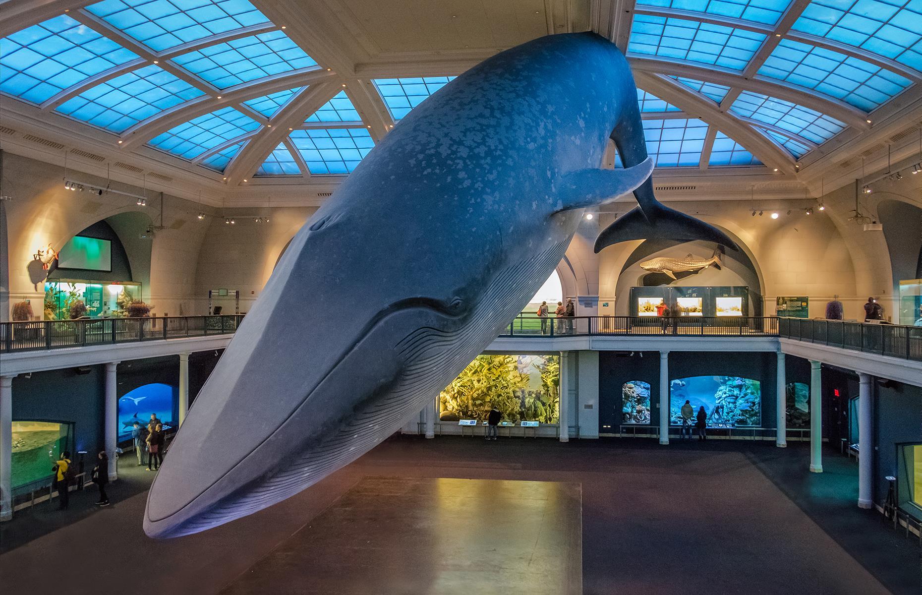 Tour America From Home: The Best Virtual Attractions In Every State