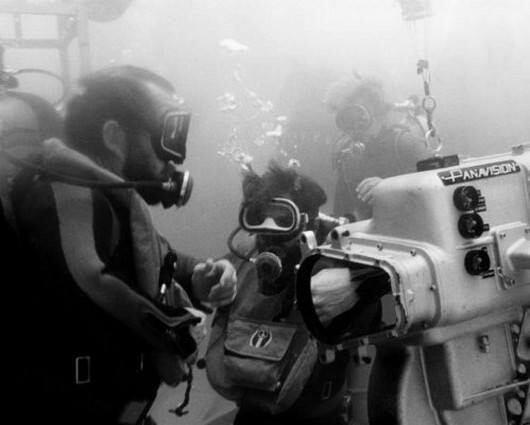After 50 years of summer scares, former FSU instructor’s iconic ‘Jaws ...