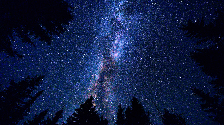 There's A Startling Number Of People Who Can't See The Milky Way Galaxy