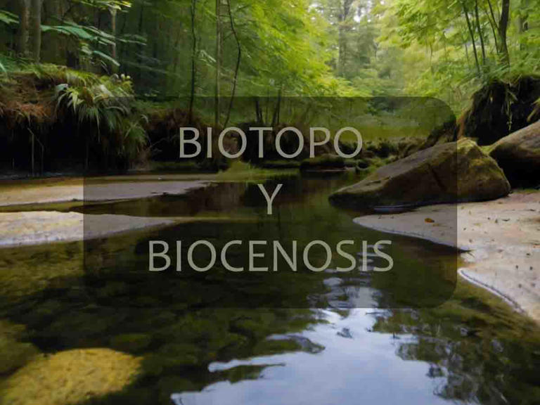 Diferencias y ejemplos entre biotopo y biocenosis: explicación completa ...