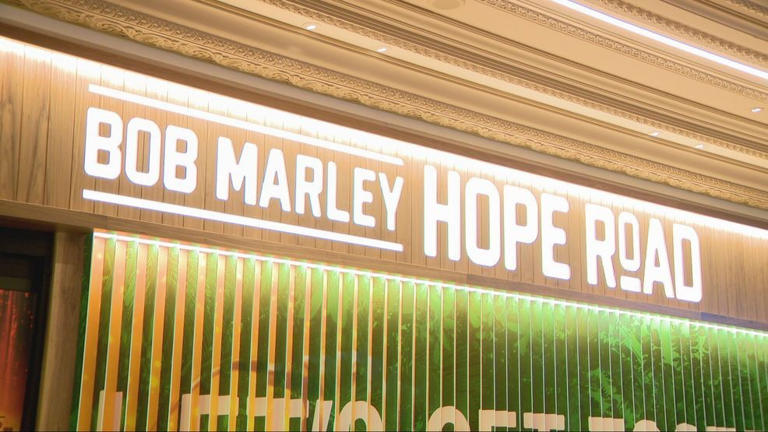 Take a sneak peek inside new 'Bob Marley Hope Road' attraction at ...