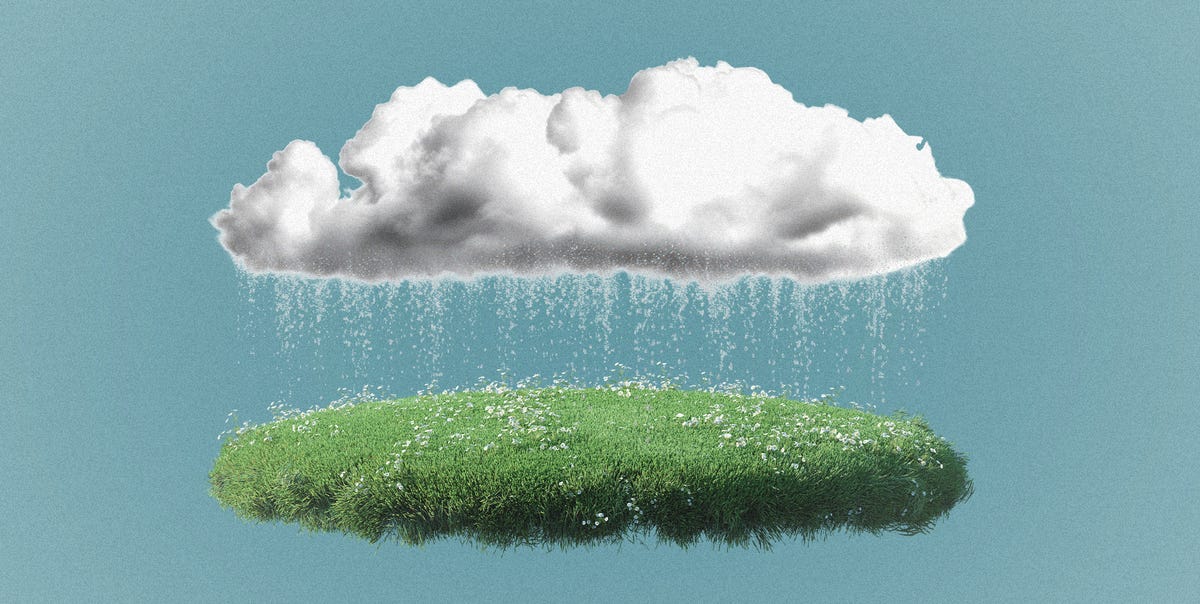 How to Protect Your Lawn from Heavy Summer Rain—The Smart Way