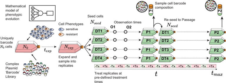 Scientists find new way to predict how bowel cancer drugs will stop ...