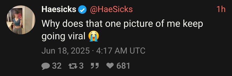 Who Is 'HaeSicks' And Why Is She Going Viral? The Woman In The 'How Are ...