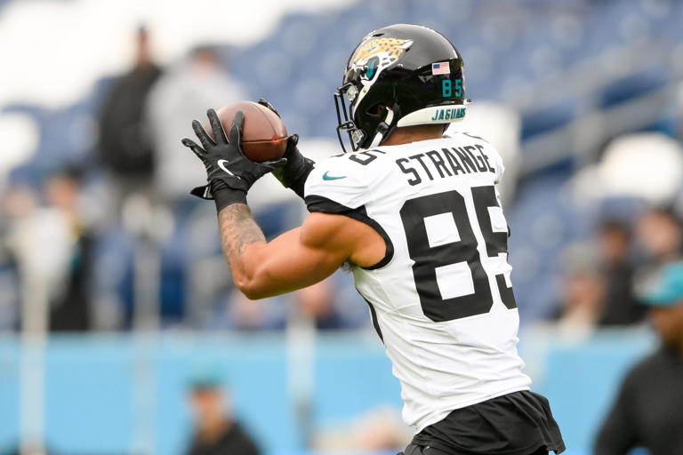 2 more contract extension candidates for Jaguars after Ross Matiscik deal