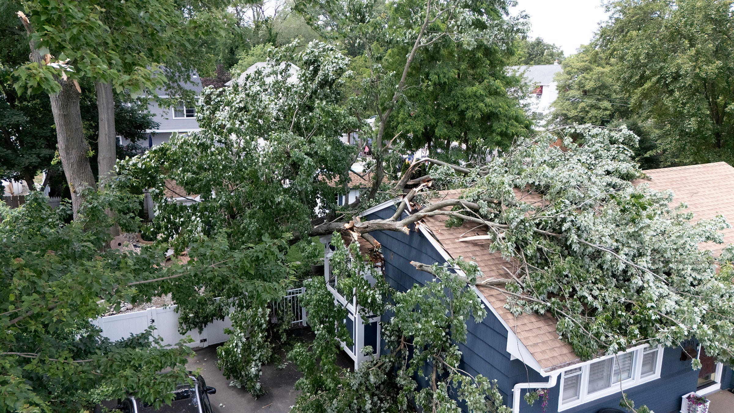 Neighbor’s tree falls on your property: who's paying? Here’s what NJ ...