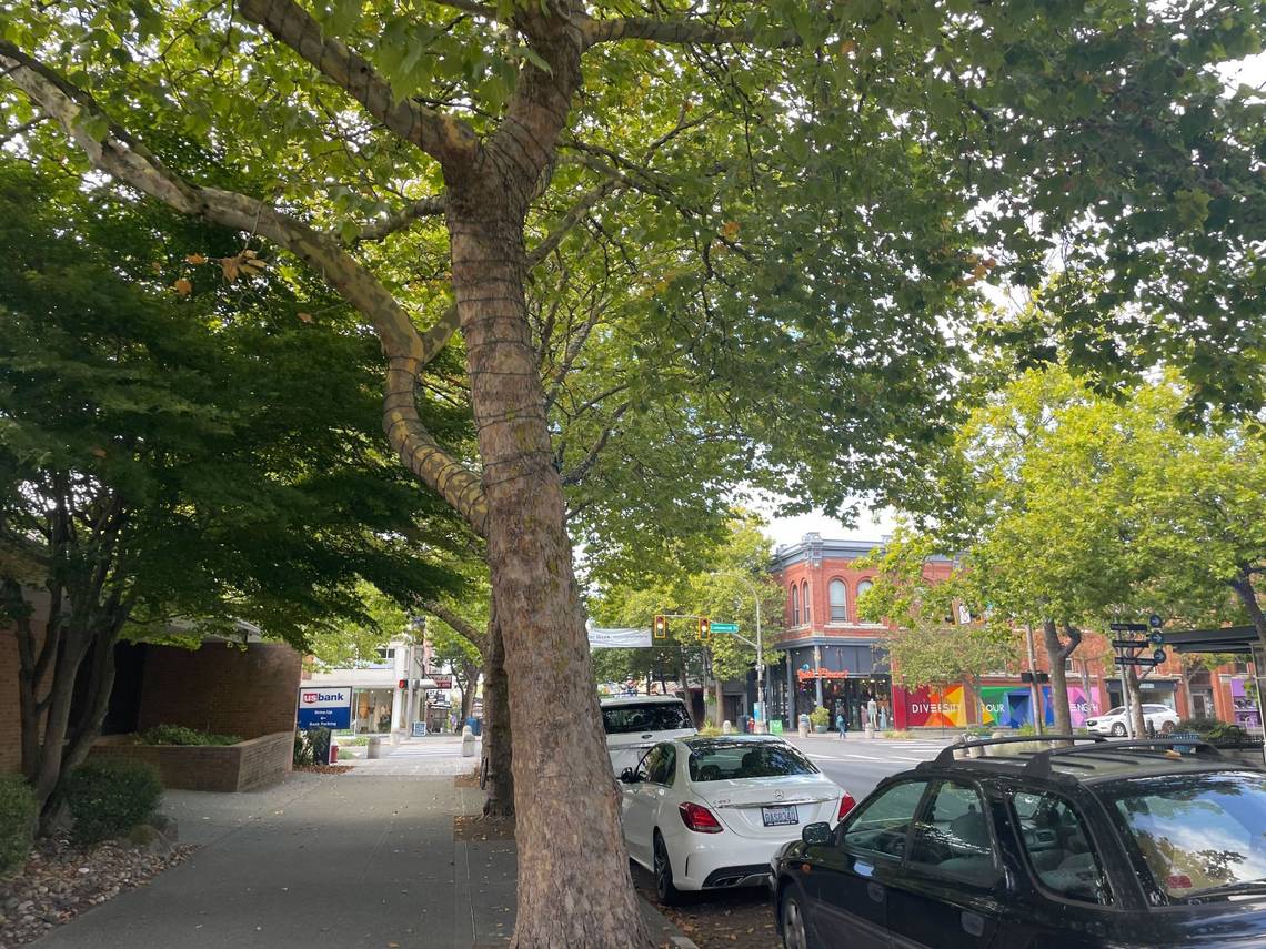 Whatcom Roundup: Two new restaurants options as downtown bar closes