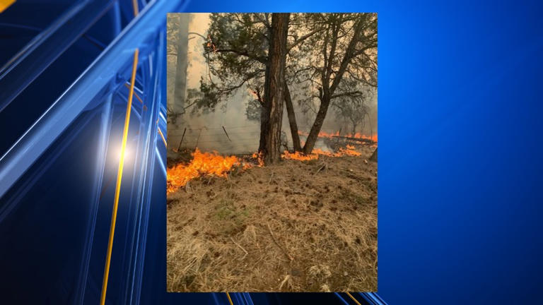 Trout Fire grows some, still at 11% containment