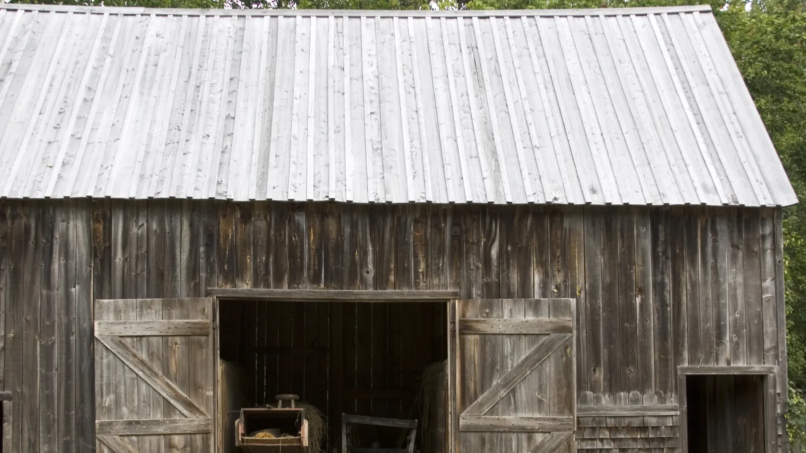Best Shed Designs That Blend with Any Backyard