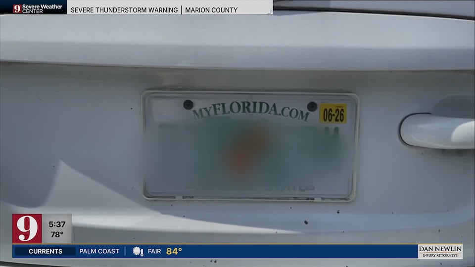 Over 690,000 Florida cars have expired tags